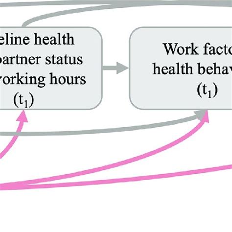 Assumed Causal Model For Sex Stratified Analysis Download Scientific Diagram
