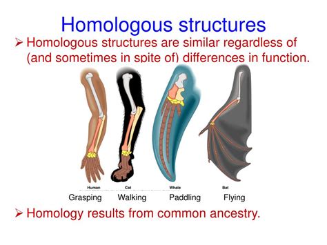 Ppt Sc State Science Education Standard B 5 Indicator 5 5 Powerpoint