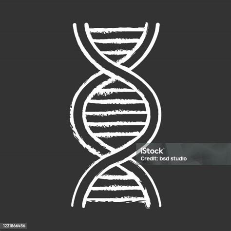 Dna 나선 분필 아이콘입니다 데옥시리보핵 핵산 구조 나선형 가닥 염색체 분자 생물학 유전 코드 게놈 유전학 의학 절연 벡터 칠판 그림 Dna에 대한 스톡 벡터 아트 및