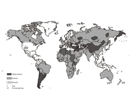 Approximate Geographic Distribution Of Echinococcus Granulosus 15