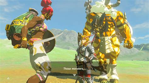 Chill My Lady~ This Is A Friendly Lynel R Botw