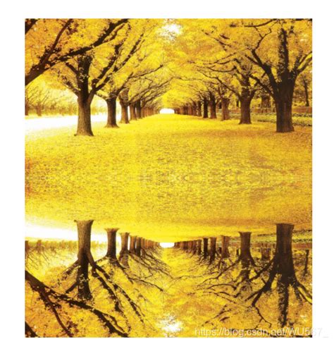 Css3实现倒影效果css3 倒影 Csdn博客