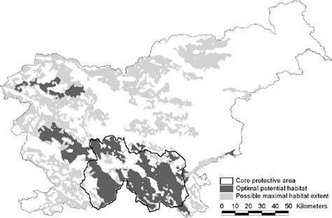A The Optimal Decision Tree B The Maximal Decision Tree Download Scientific Diagram