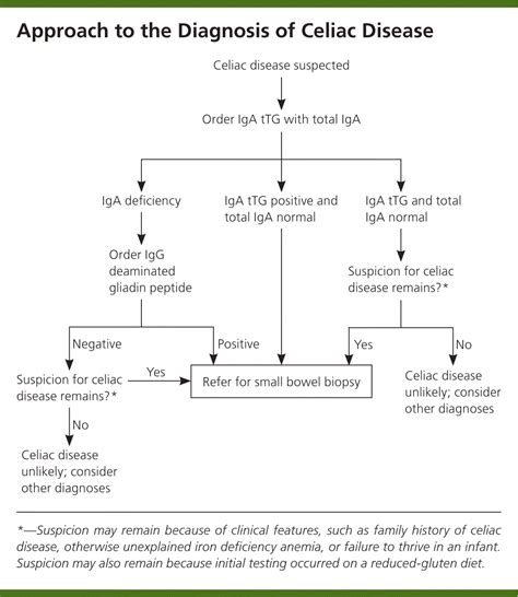 Celiac Test Diagnosis Of Celiac Disease In Adults Based On Serology