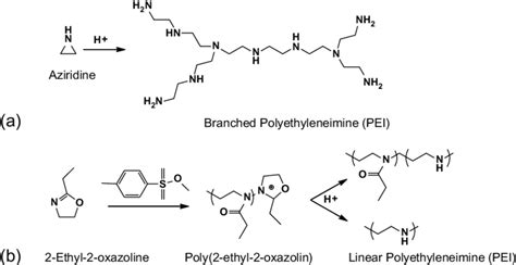 1 Synthesis Of Pei Polymers A B Pei Synthesis By Ring Opening