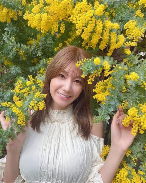 八反美咲さんのインスタグラム写真 八反美咲Instagram ミモザの木 お花屋さんで売ってるのしか見たことなくて 初めて見たの