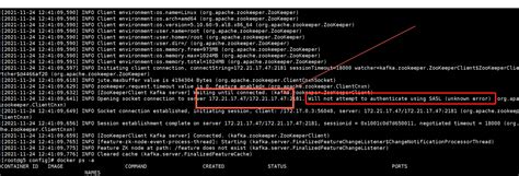 Will Not Attempt To Authenticate Using Sasl Unknown Error Orgapache