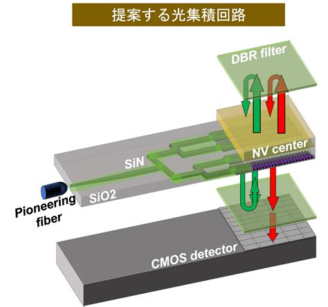 Research Nishiyama Lab