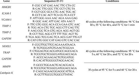 Primer Sequences Used In This Study Download Scientific Diagram