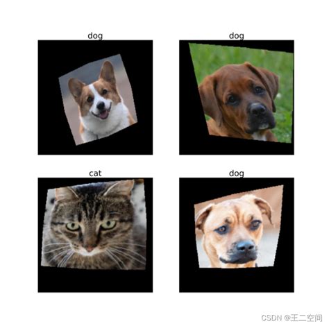 Pytorchcnn进行猫狗识别项目pytorch 猫狗识别 Csdn博客