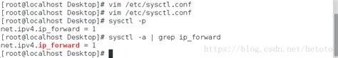linux中虚拟机的网络及dns配置 虚拟机linux 配置dns csdn博客
