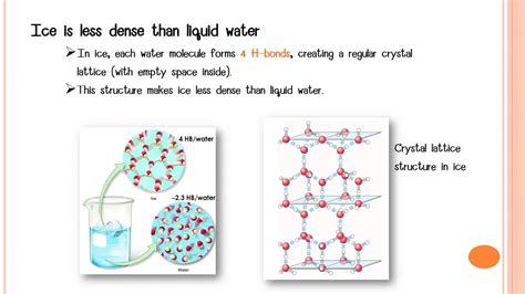 Acid Base Buffer In Biological Systems YouTube
