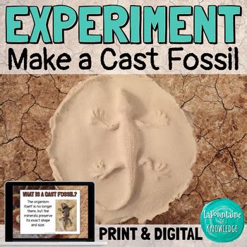 Make A Cast Fossil Paleontology Science Lab Experiment PRINT And DIGITAL