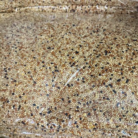 อาหารนกเขาเล็ก อาหารนก เกรดa ขนาด 1 กิโลกรัม มิลเล็ตรวม 5 สี เกรด A มีวิตามินและแร่ธาตุ ที่