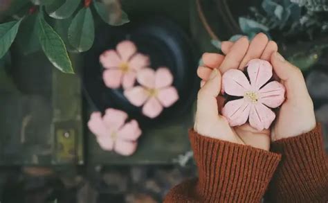 手心捧着花朵的图片 掌心花图片 手心里的花图片 第3页 大山谷图库