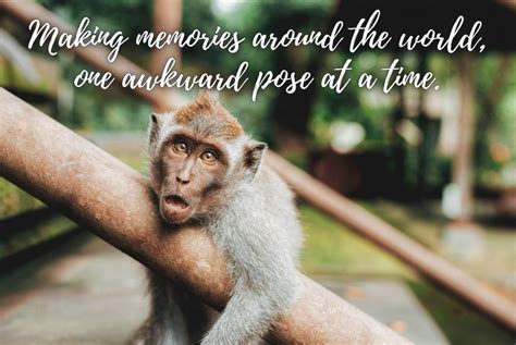 500 Funny Caption Ideas For Instagram Hubpages