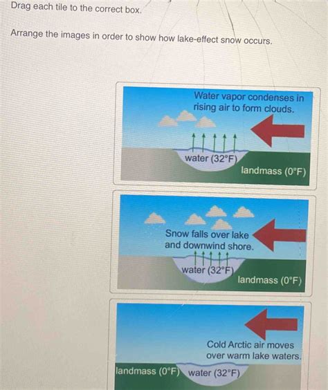 solved drag each tile to the correct box arrange the images in order