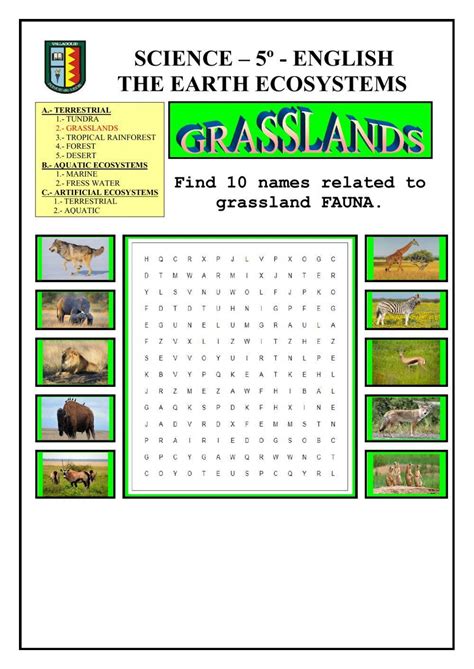Ecosystems Terrestrial Grasslands Worksheet Worksheets Library