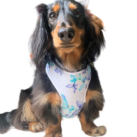 the fetching collection brisbane qld