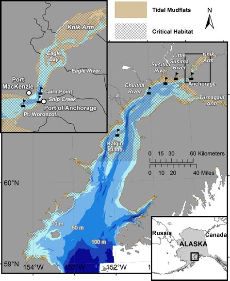 Bioacoustic Classification Using Deep Learning For Multiple Species In A Puerto Rico Rainforest