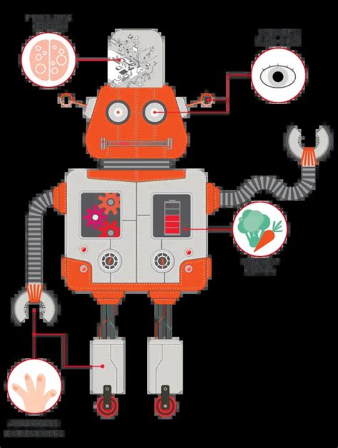 Enseñando Las Partes De Un Robot A Los Niños Didáctico