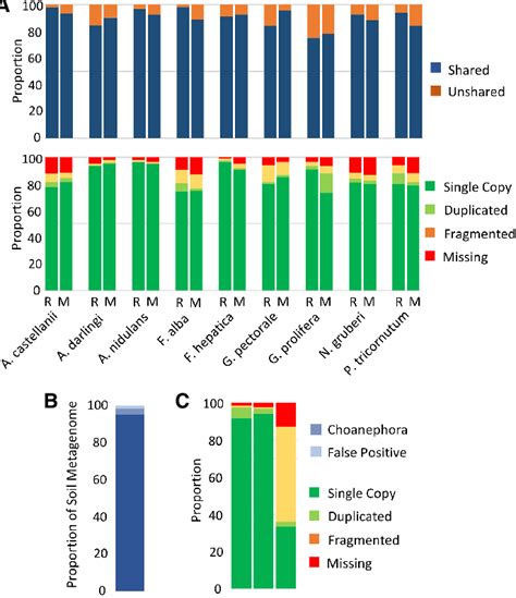 Eukaryotic Gene Prediction On Metagenomic Scaffolds A Gene Download Scientific Diagram
