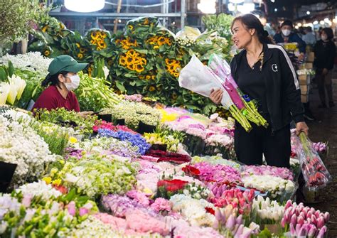 “站在亚洲实现整体振兴的新起点上” ——习近平主席对越南、马来西亚、柬埔寨进行国事访问纪实