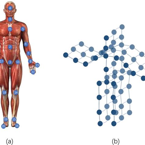 A The Joint Labeling Of The Ntu Rgbd And Ntu Rgbd 120 Datasets The Download Scientific