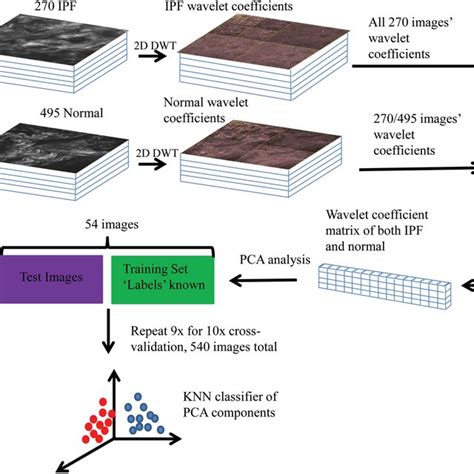 Flow Chart Of Waveletprincipal Component Analysis Download