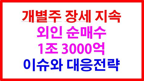 주식투자 개별주장세지속 외국인 순매수력 1조3000억 유입 현대로템 현대건설 휴맥스 대우건설 세원 한화시스템 우주발사체 고체연료 사용제한 해제 Youtube