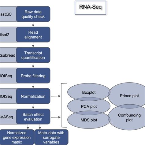 Rna Sequencing Data Preprocessing Pipeline Download Scientific Diagram