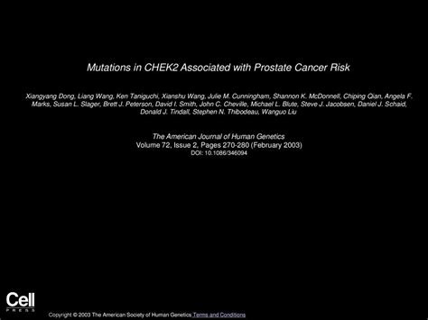 Mutations In Chek2 Associated With Prostate Cancer Risk Ppt Download