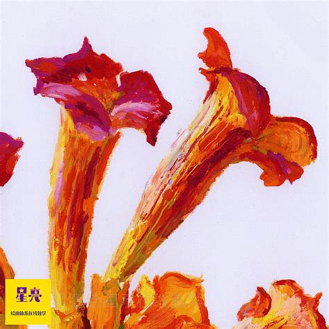 儿童画 简笔画 线描 重彩 写生 速写 油画棒 绘画 手绘 创意绘画 插画 绘画视频在线教学 微hxl592121