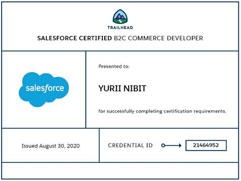 Yurii N On Linkedin Salesforcecertification Salesforce Certification 12 Comments