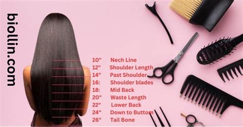 Tracking Your Hair Length Chart And Growth