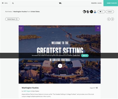 Should You Use Bootstrap Or Material Design For Your Next Web Or App Development Project