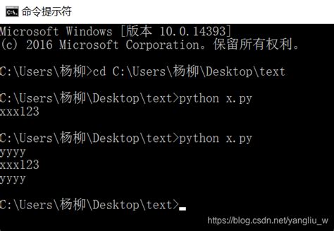 Python程序的执行过程python执行过程 Csdn博客