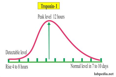Cardiac Marker Part 3 Troponins Troponin T Troponin I And Acute Myocardial Infarction