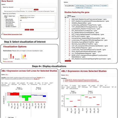Example Of A Workflow Initiated From The Cell Lines Module The Cell Download Scientific