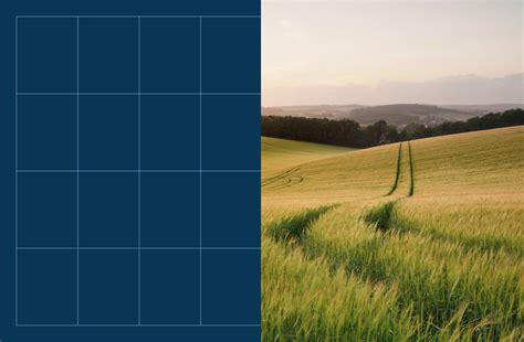 How To Build A Comprehensive Risk Management Plan