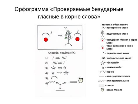 Проверяемые безударные гласные в корне слова презентация онлайн