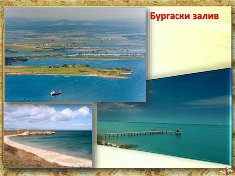 11 Българско черноморско крайбрежие ЧО 4 клас Булвест Pptx