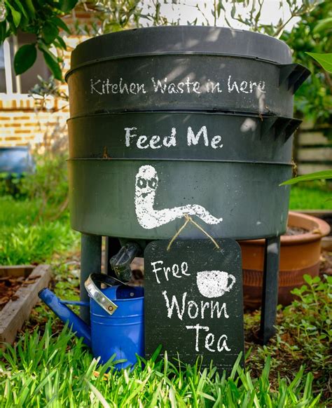 Vermicomposting How To Start Your Own Worm Bin Vermicomposting