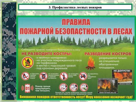 Противопожарная профилактика в лесу презентация онлайн