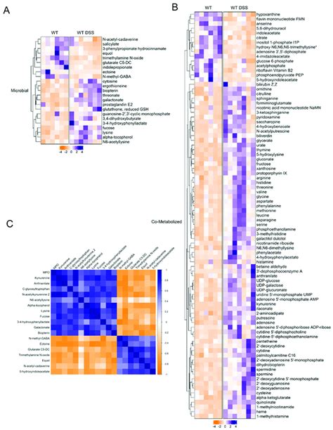 A Heatmap Of Microbial Related And B Co Metabolized Differentially