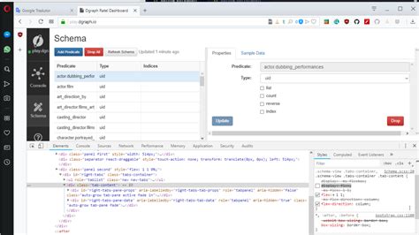 Ratel Has Problems With Ui Properties Tab · Issue 33 · Dgraph Io
