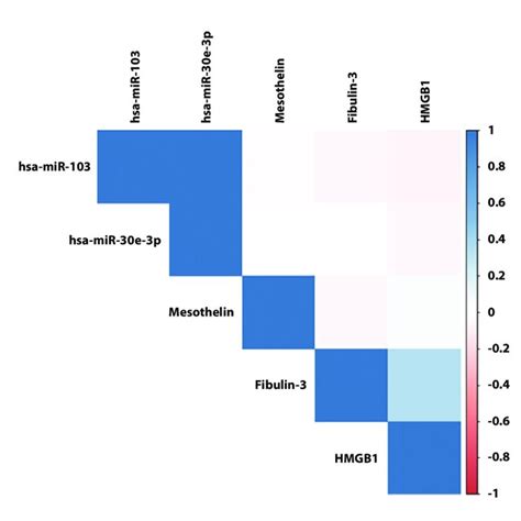 Correlation Plot Of Plasmatic Biomarkers Proteins And Ev Mirnas