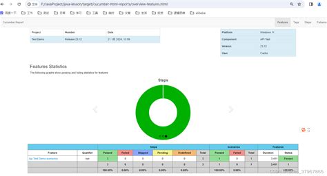 【cucumber】cucumber reporting生成测试报告 cucumber 的报告 csdn博客