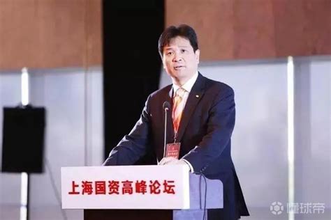 上海中国航海博物馆副馆长严俊被审查，疑似原上港集团总裁pp视频体育频道