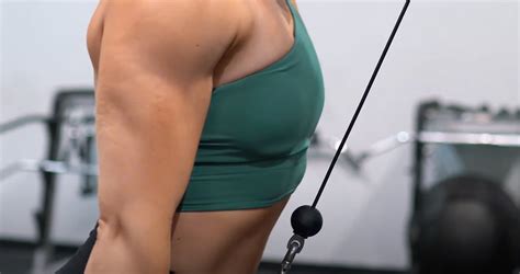 Tamoxifen Vs Aromasin Vs Nolvadex Best Gyno Prevention Strategy For B Swolverine